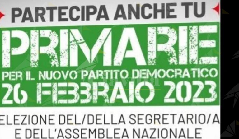 Pd Siderno Votate Per Il Segretario Nazionale E Contribuite A