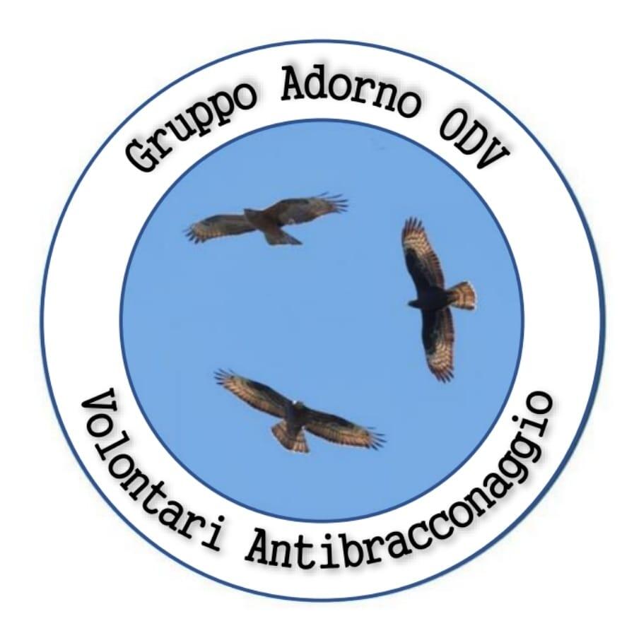 logo-gruppo-adorno - Ciavula